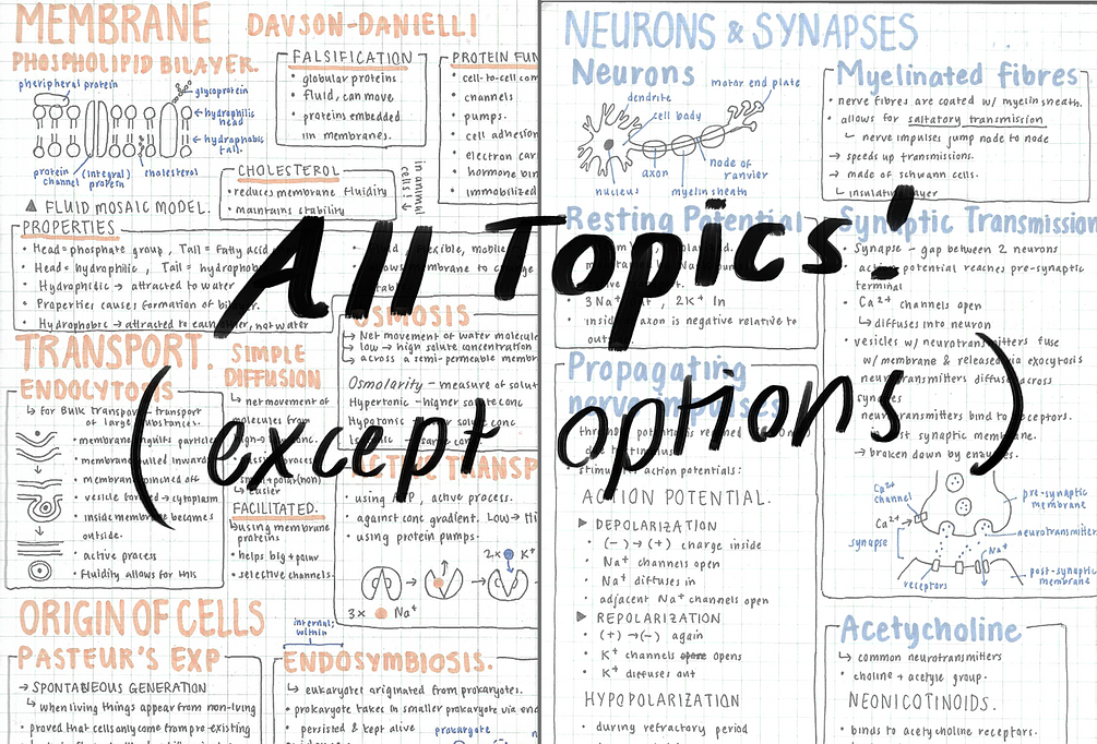 IB Biology HL Notes