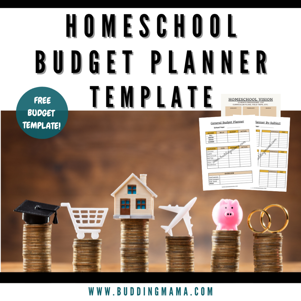 Homeschool Budget Template Planner 2 Versions 