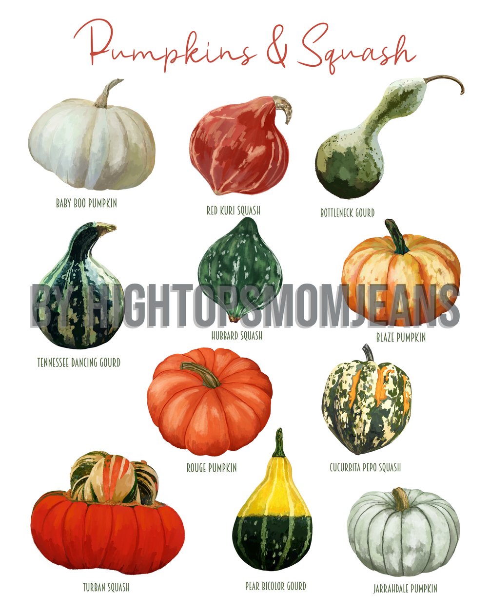 Pumpkins and Squash Printables