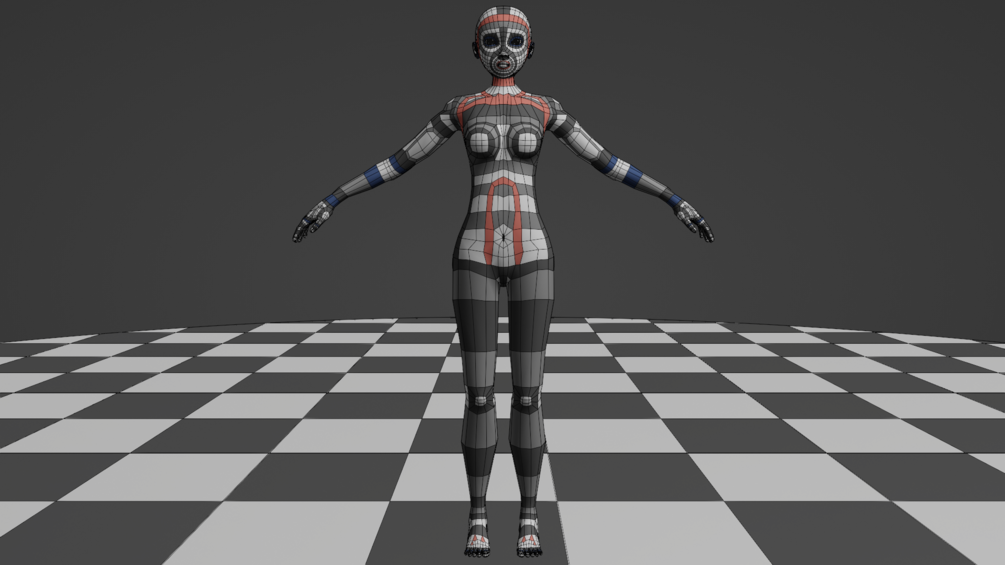 Female Body - Topology