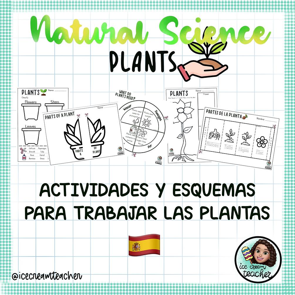 LAS PLANTAS VERSIÓN CASTELLANO
