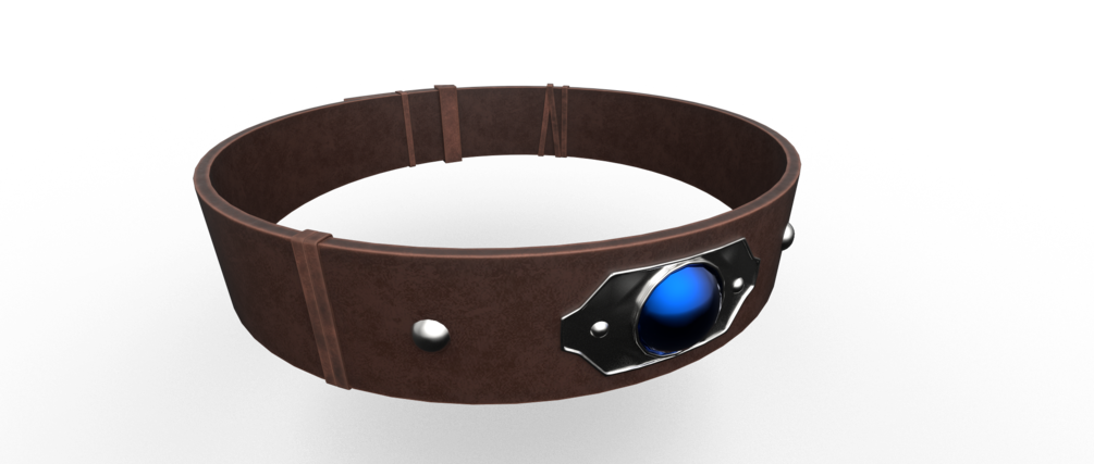 leather gem collar(FREE)