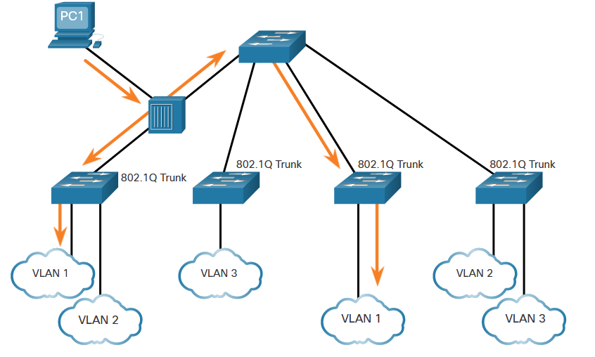 CCNA STP