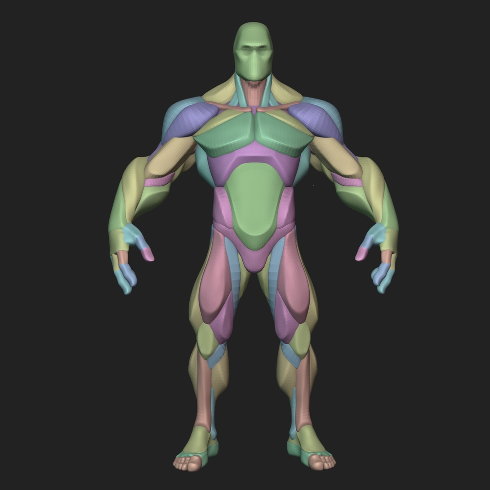 Stylized Hero Anatomy v1