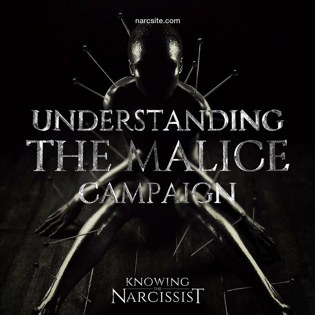 Understanding the Malice Campaign