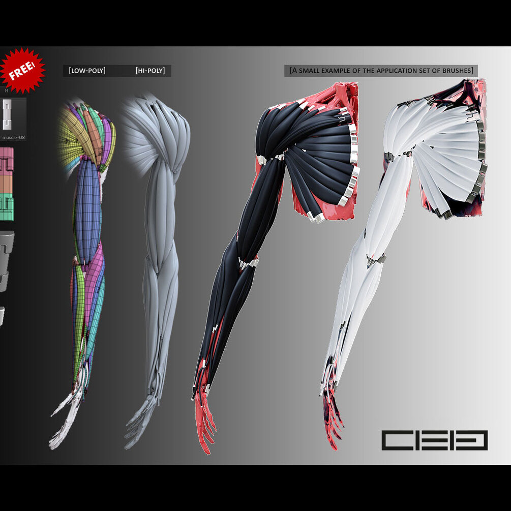 IMM Nano muscle Brush set