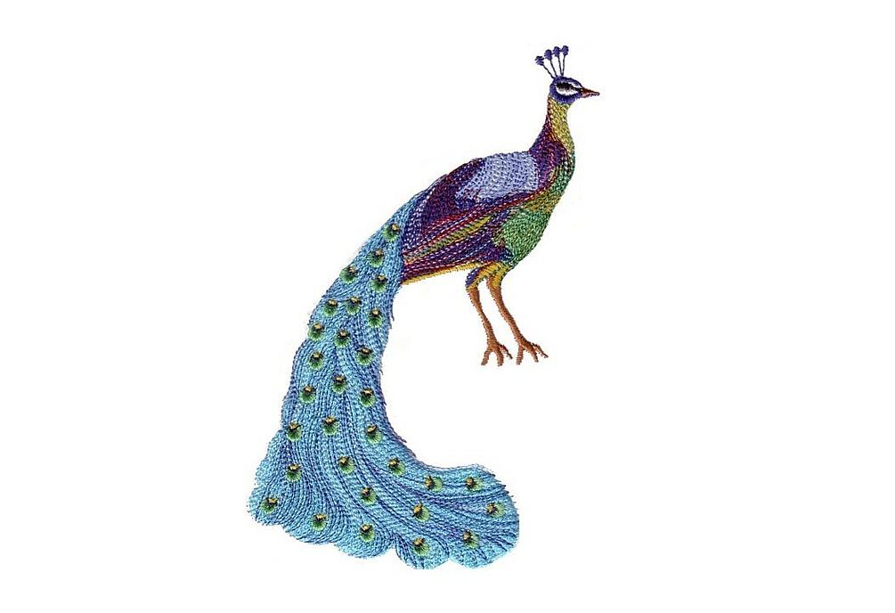 Peacock for variegated thread