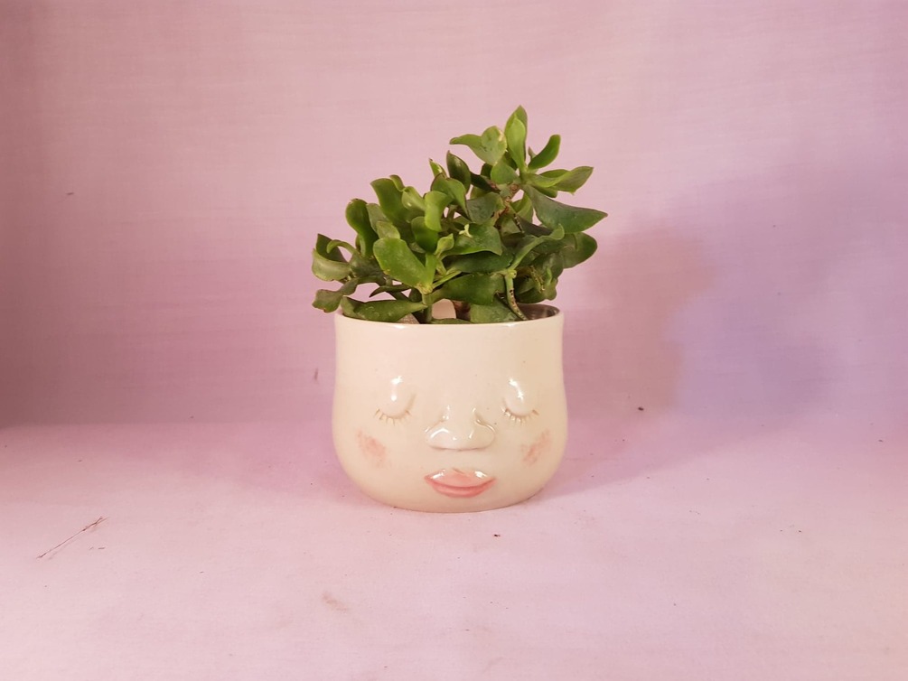 Pot Planter