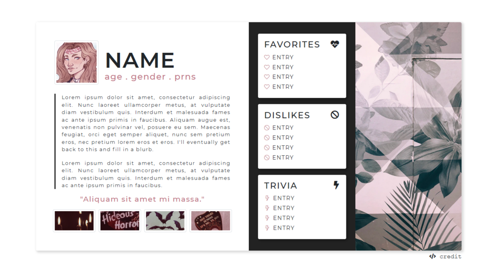 Toyhouse // Modern Profile HTML