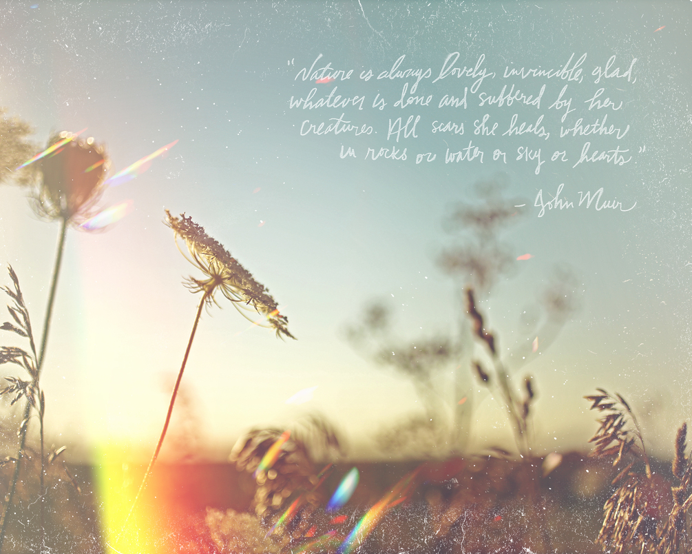 Iowa | Nature is Always Lovely