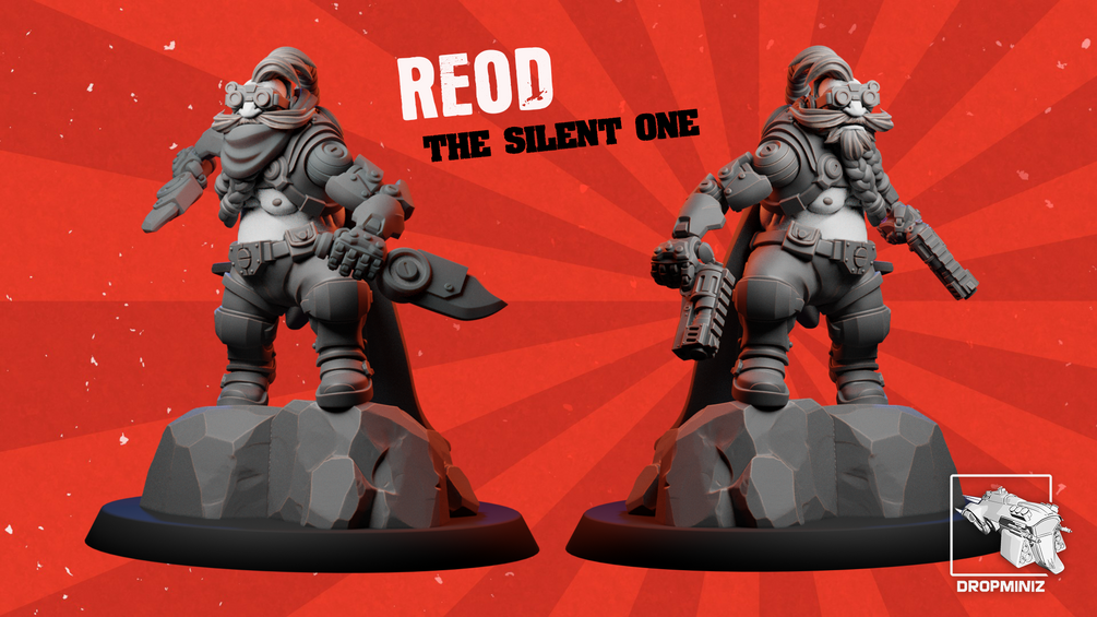 Reod - The Most Talented Dwarf Assassin - STL miniature