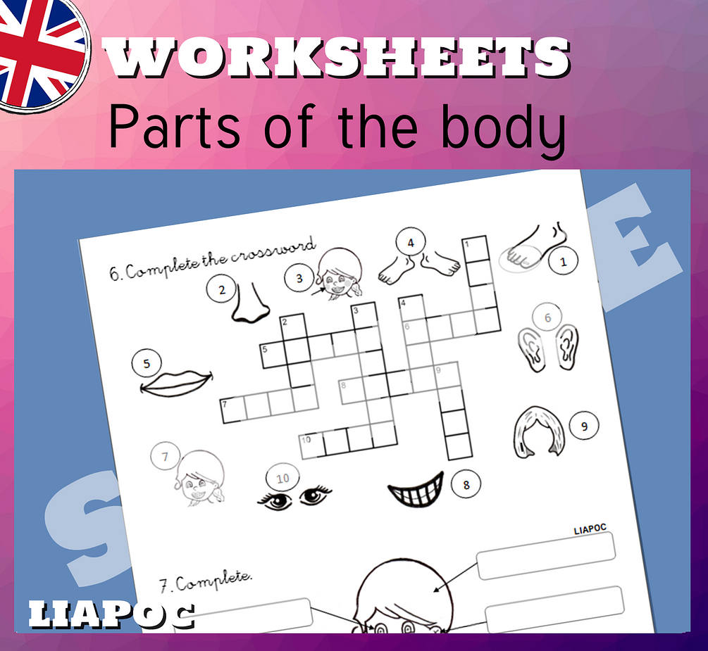 Worksheets - Parts of the body