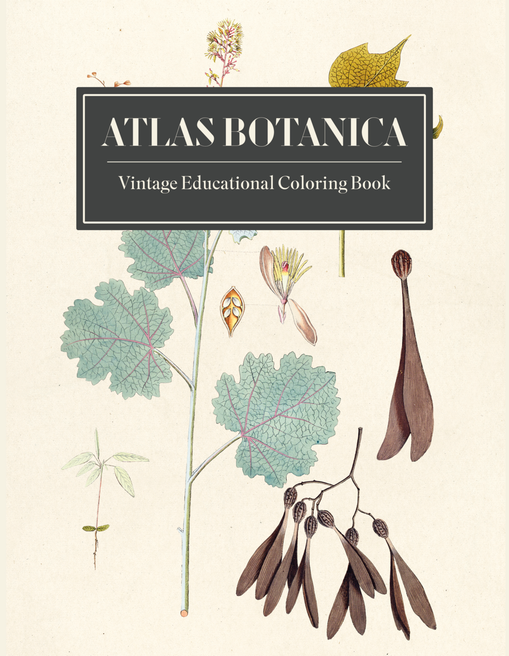 Atlas Botanica | Vintage Educational Coloring Book for Adults | Vintage ...