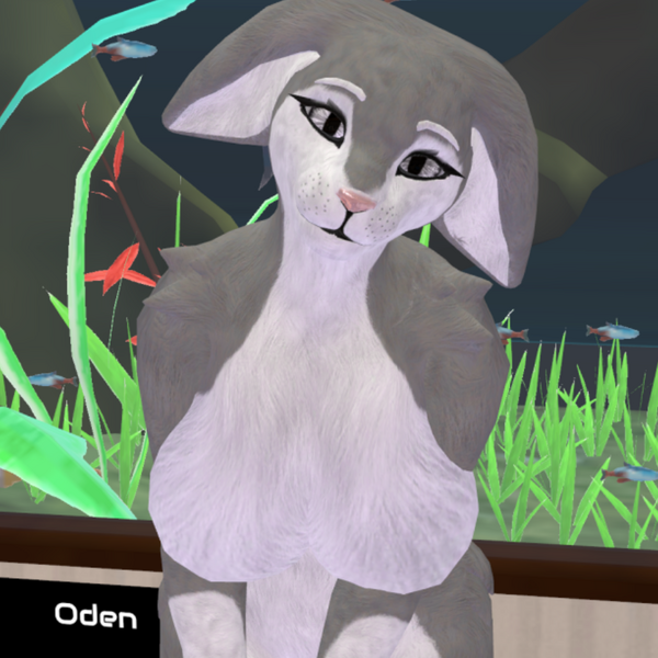 Neomi_Floof 50%OFF! CODE: ChristmaasFloof (Twitter @plasmatixthefox)