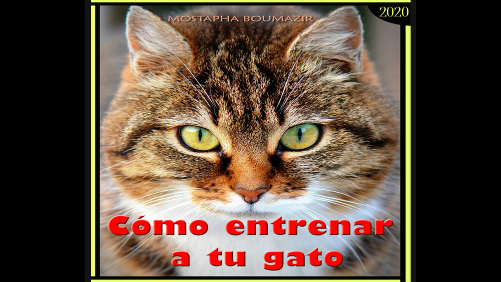Cómo entrenar a un gato (Spanish Edition)