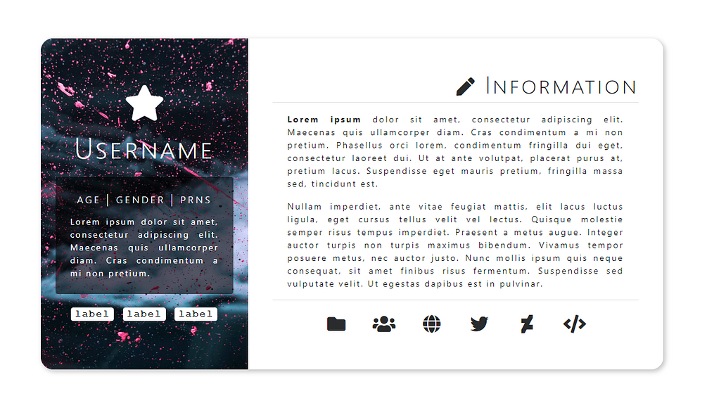 Toyhouse // Neo Grunge User Profile [HTML]