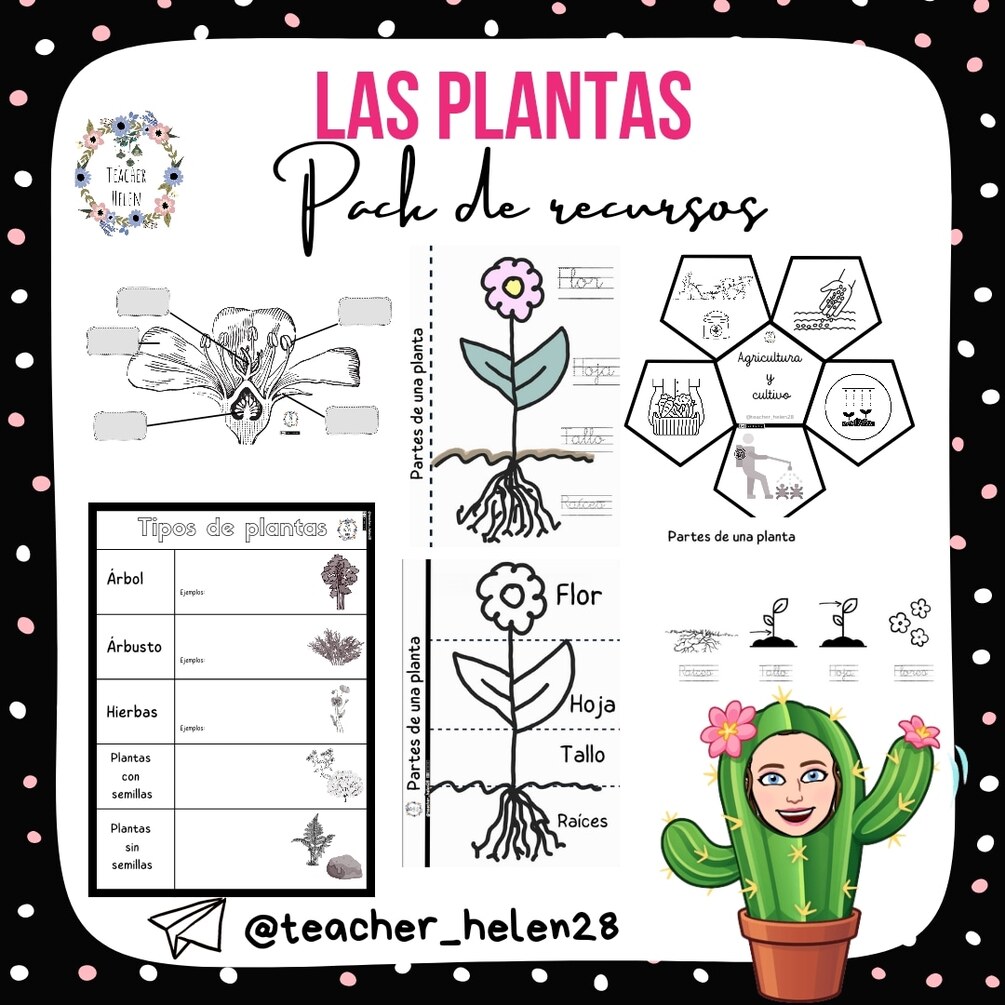 Pack las plantas