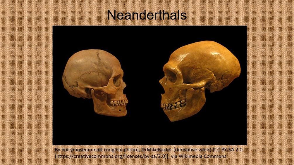Evolution and Cavemen