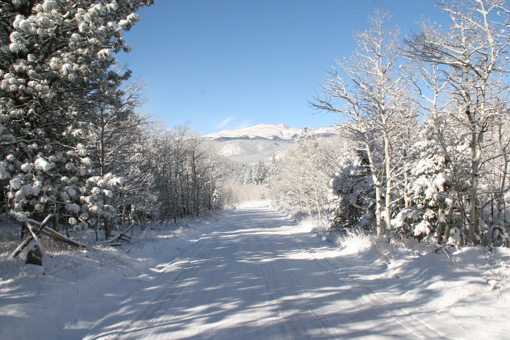 Landscapes14 12x18 print