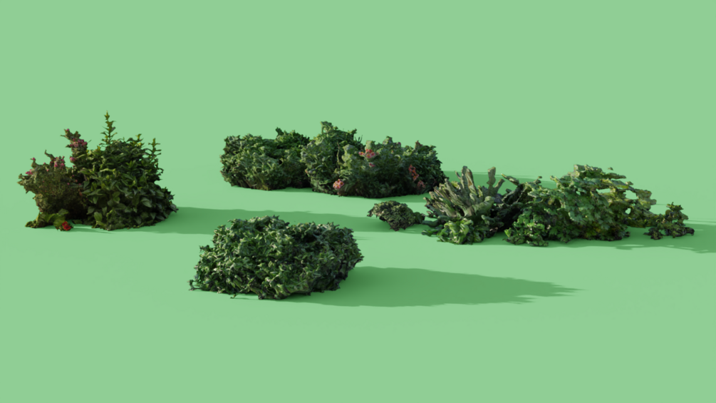 Plants 3D Scan (.blend)