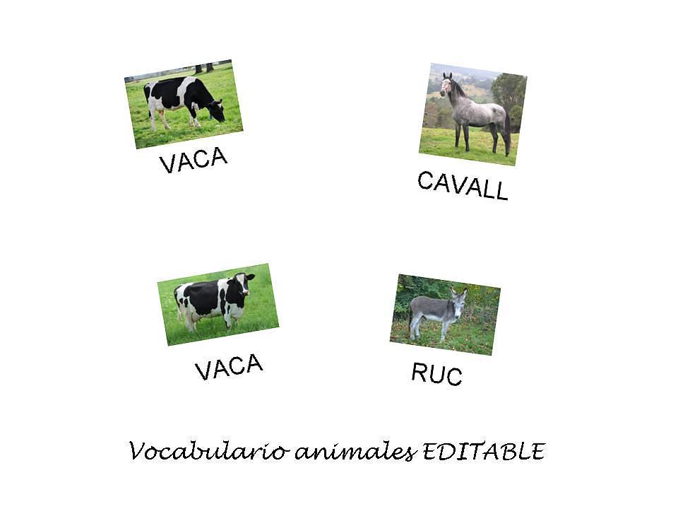 Vocabulario animales (editable)