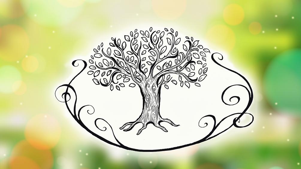 Disegna il tuo albero della vita