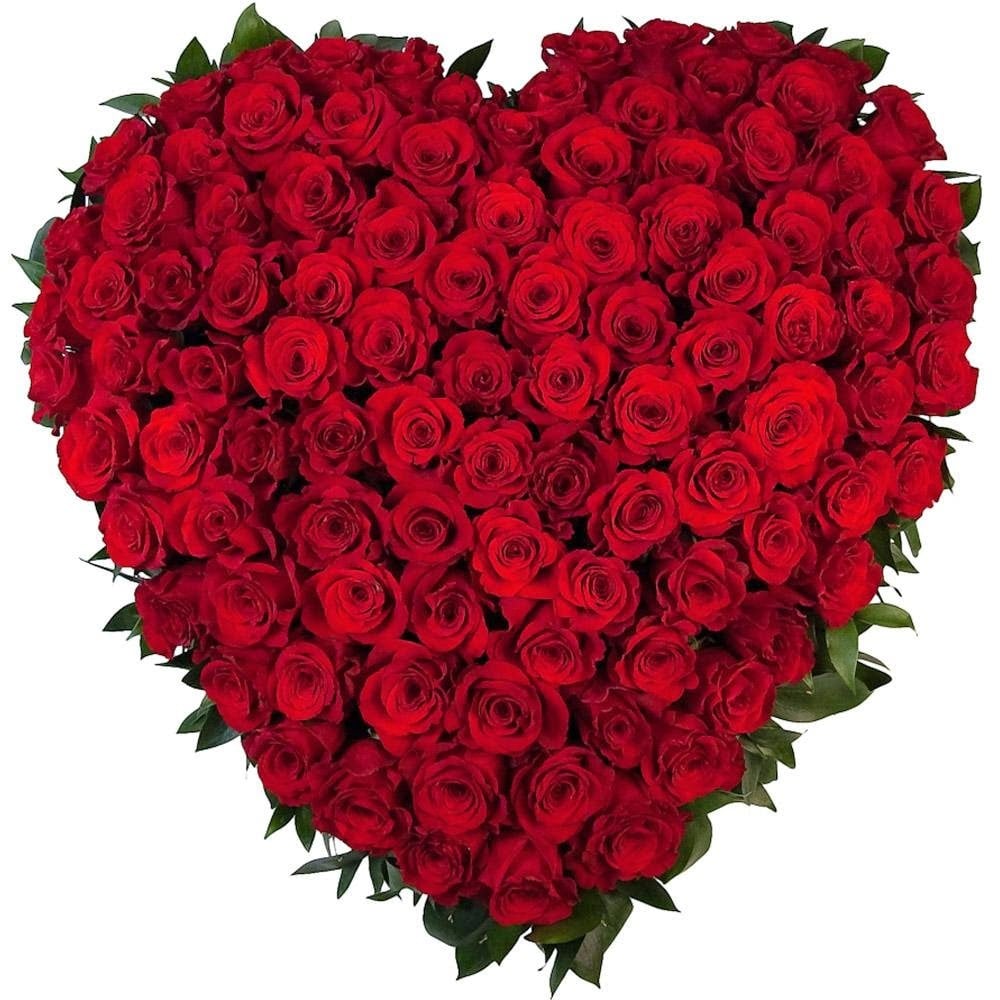 picture of a red heart rose