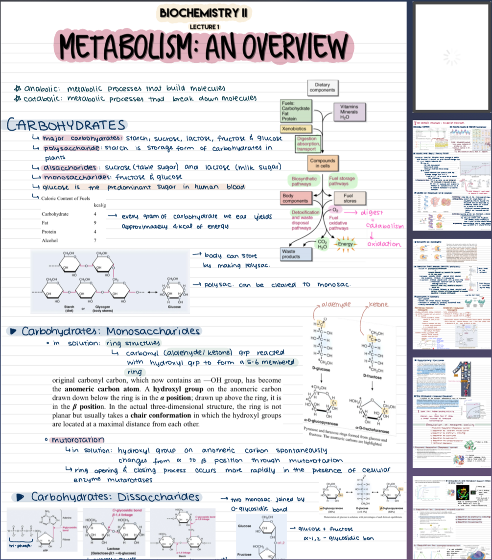 Cell Metabolism Overview - Biochemistry