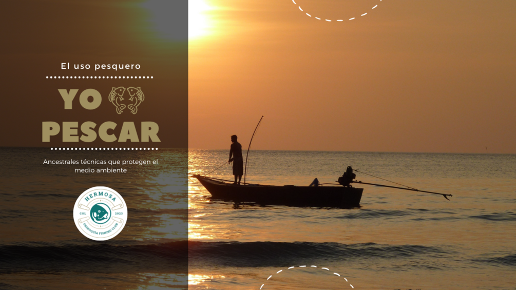 Qué es la pesca sostenible y su importancia