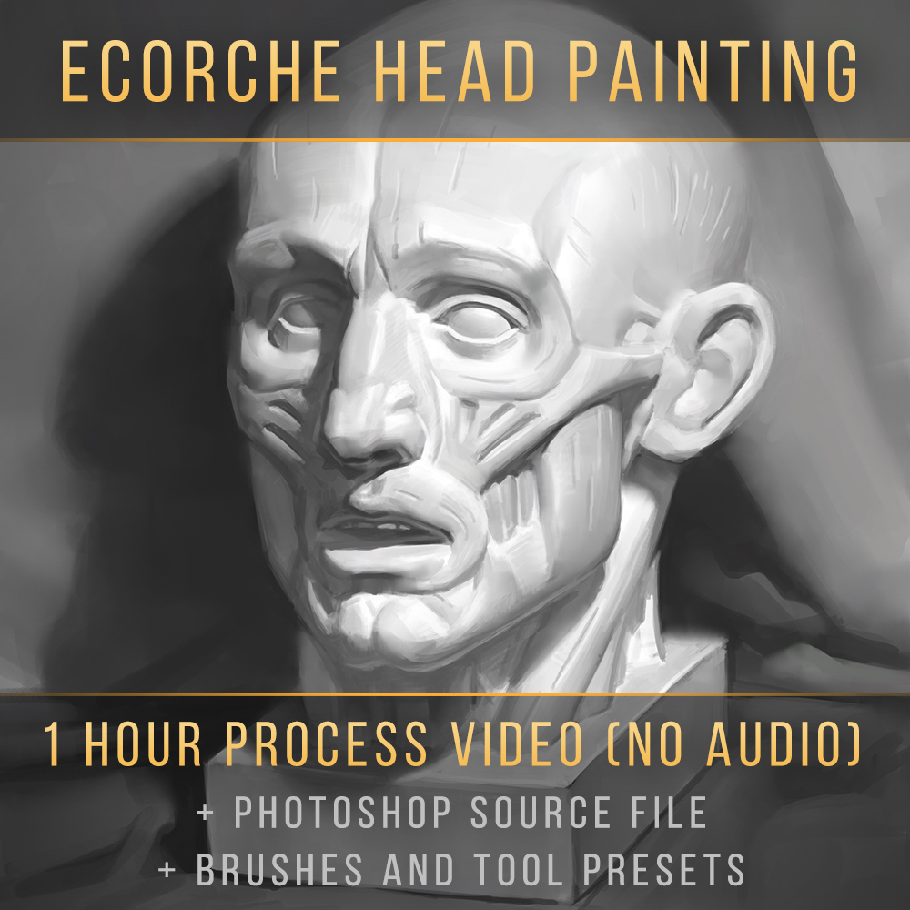 Ecorche head painting process