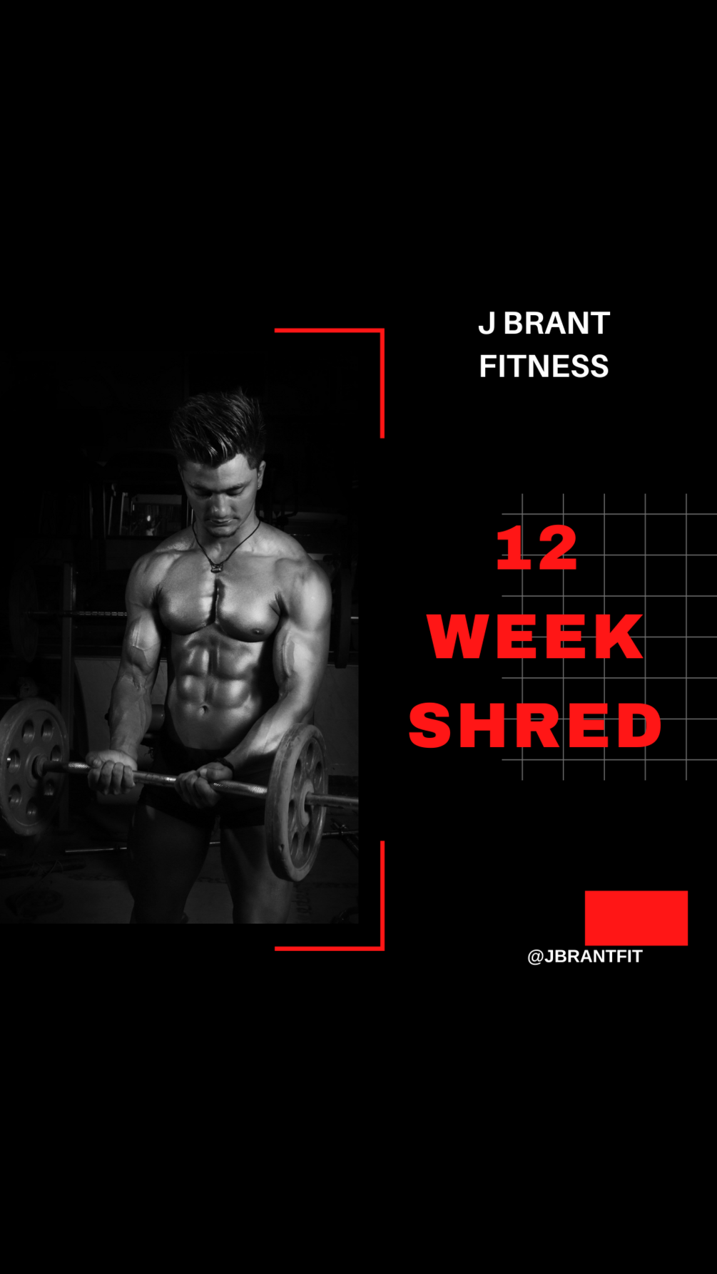 12 Week Shred Program