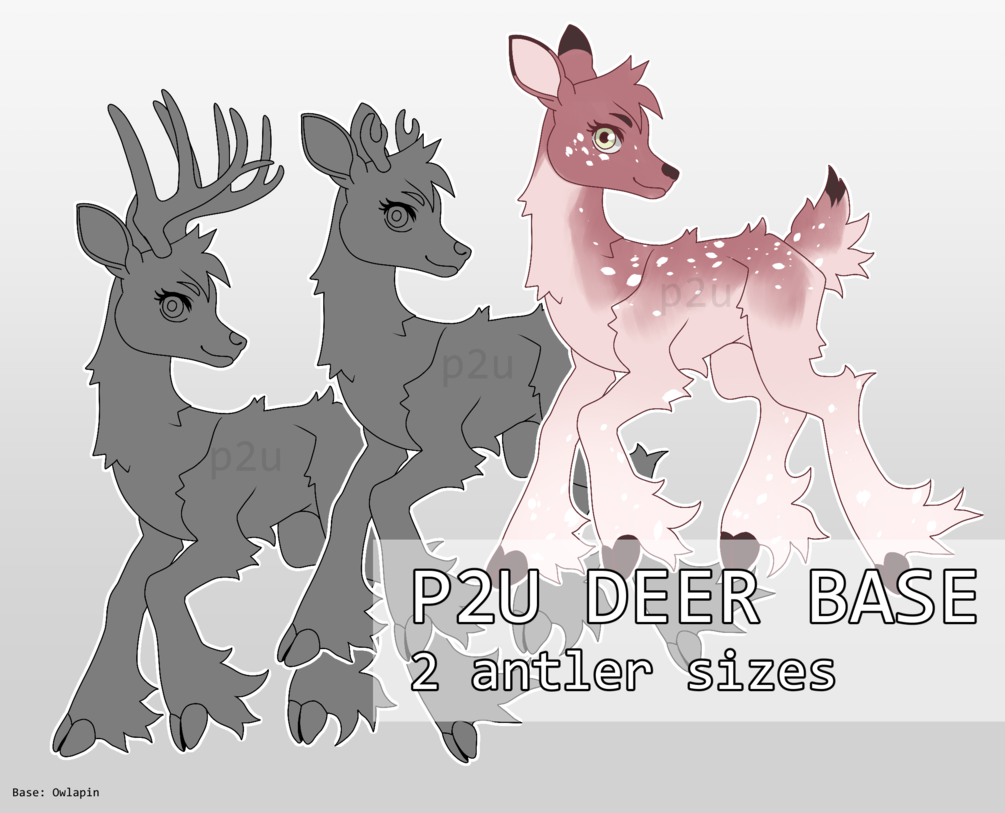 Deer Base