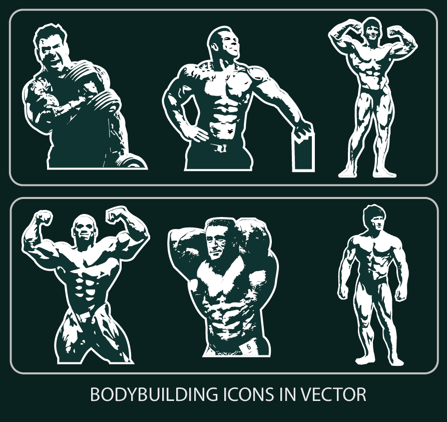 6 high quality body building icons in vector