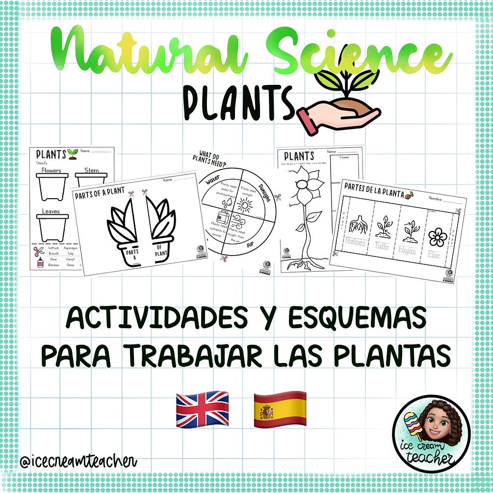 PLANTS 1st cycle INGLÉS Y CASTELLANO