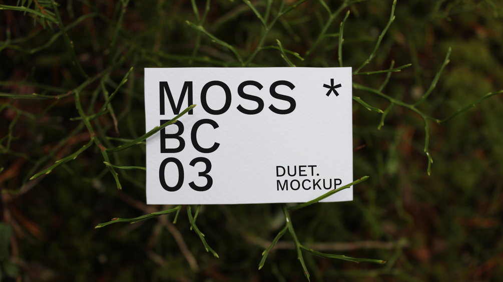 Moss BC_03 Mockup