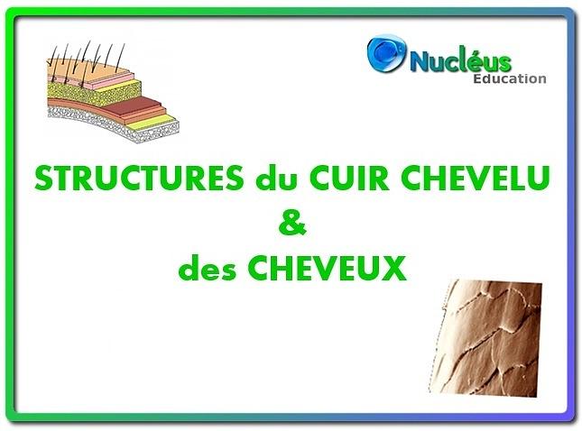 17- Le cheveu et le cuir chevelu