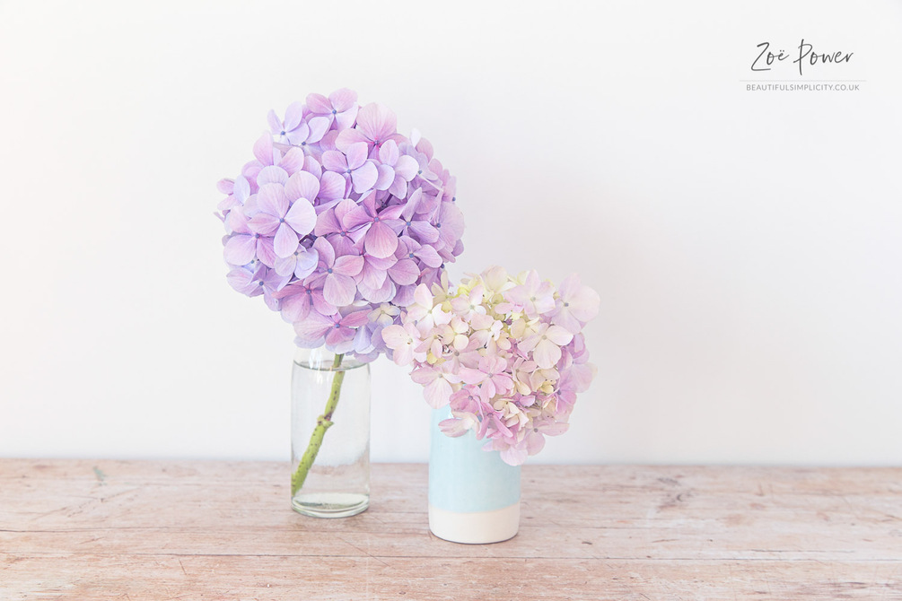 Set of 3 Pastel Flower Stock Photos