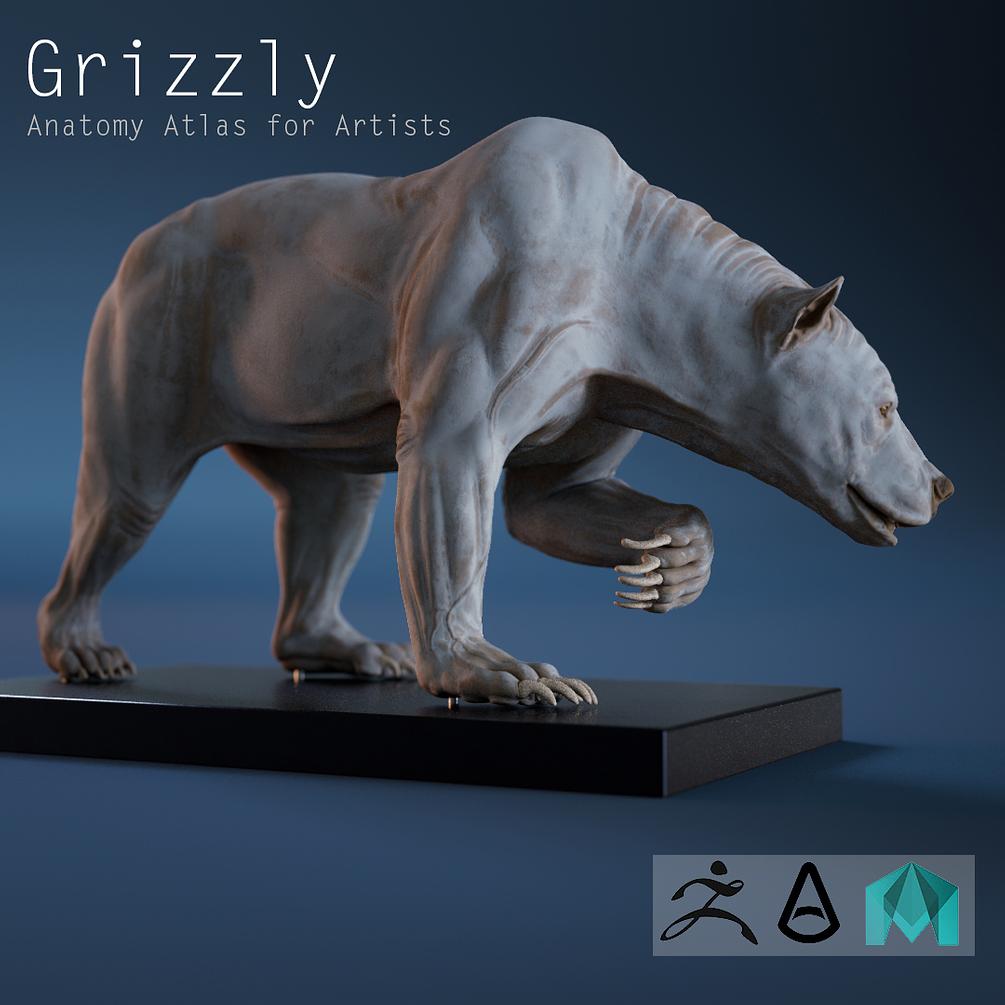Digital Grizzly Bear skin for Artists