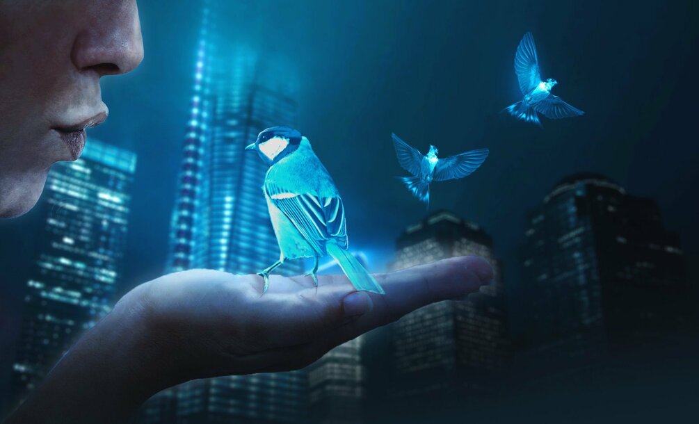 Elite Tweet Whisperers