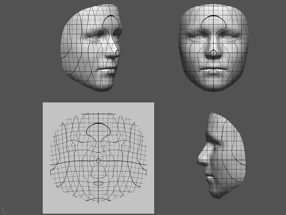 Face Ruler - Set of face grids for Spark AR facemesh