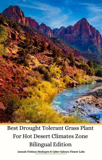 Best Drought Tolerant Grass Plant For Hot Desert Climates Zone ...