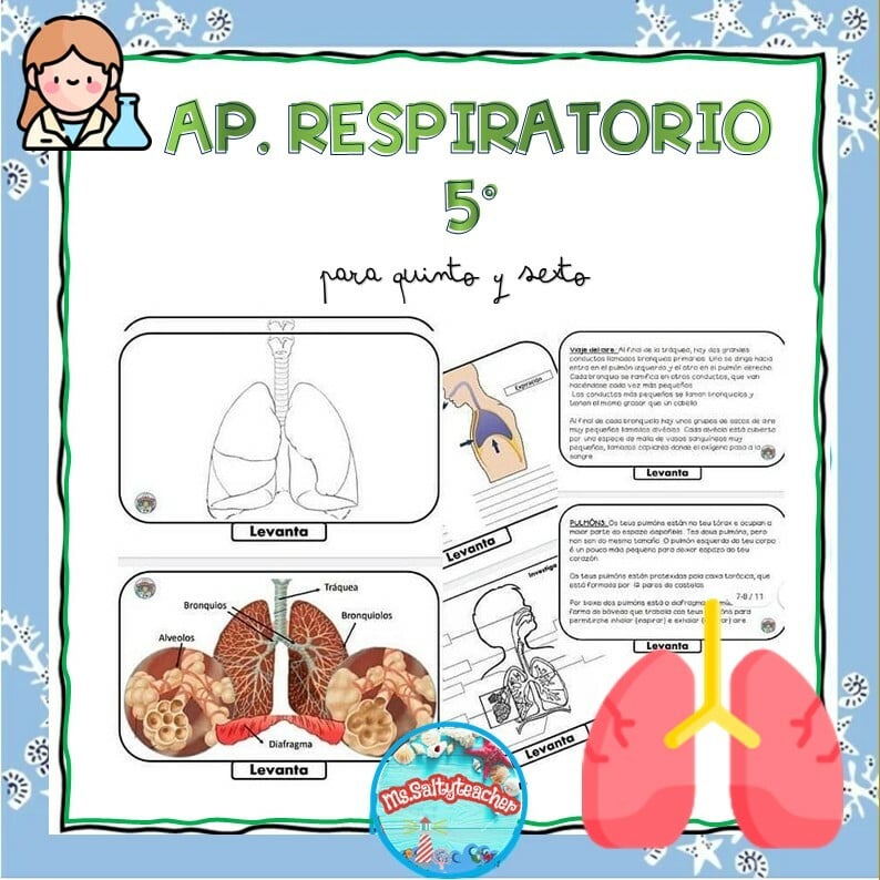 CCNN: CIENCIAS NATURALES: APARATO RESPIRATORIO -Respiración recurso 5º