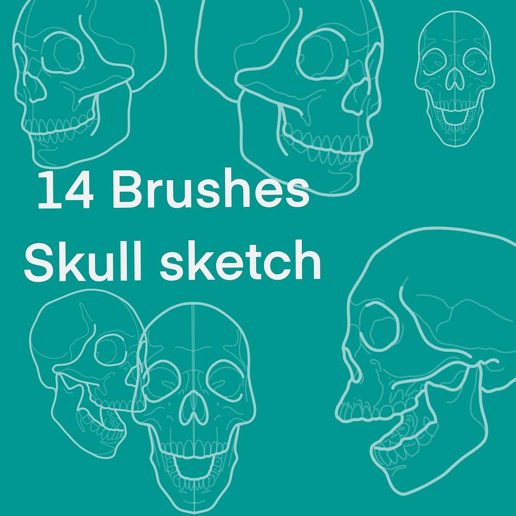 Skull sketch Brushes procreate