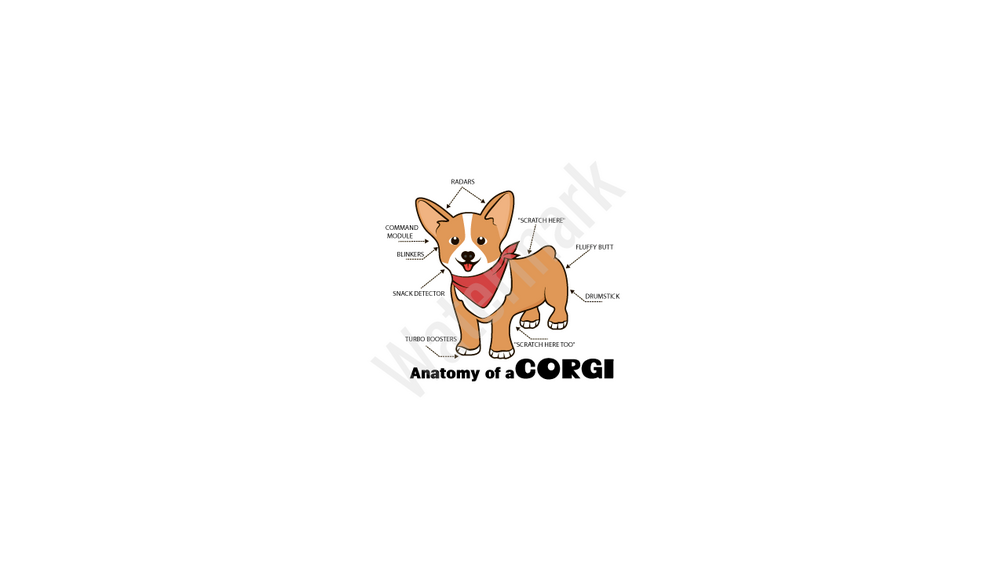 "Anatomy of a Corgi", Print, illustration for T-Shirt design