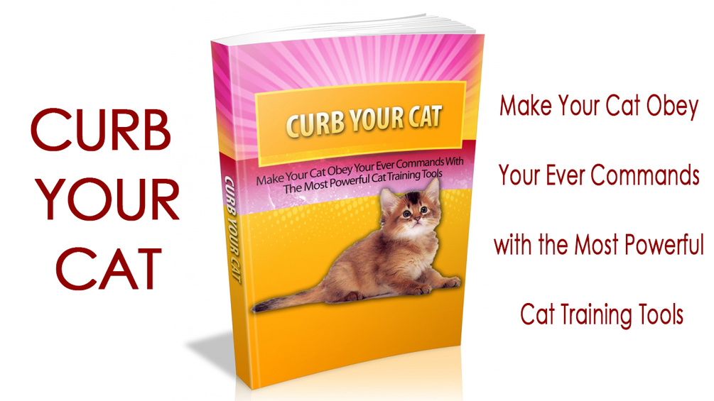 Curb Your Cat, Make Your Cat Obey Your Ever Commands with the Most ...