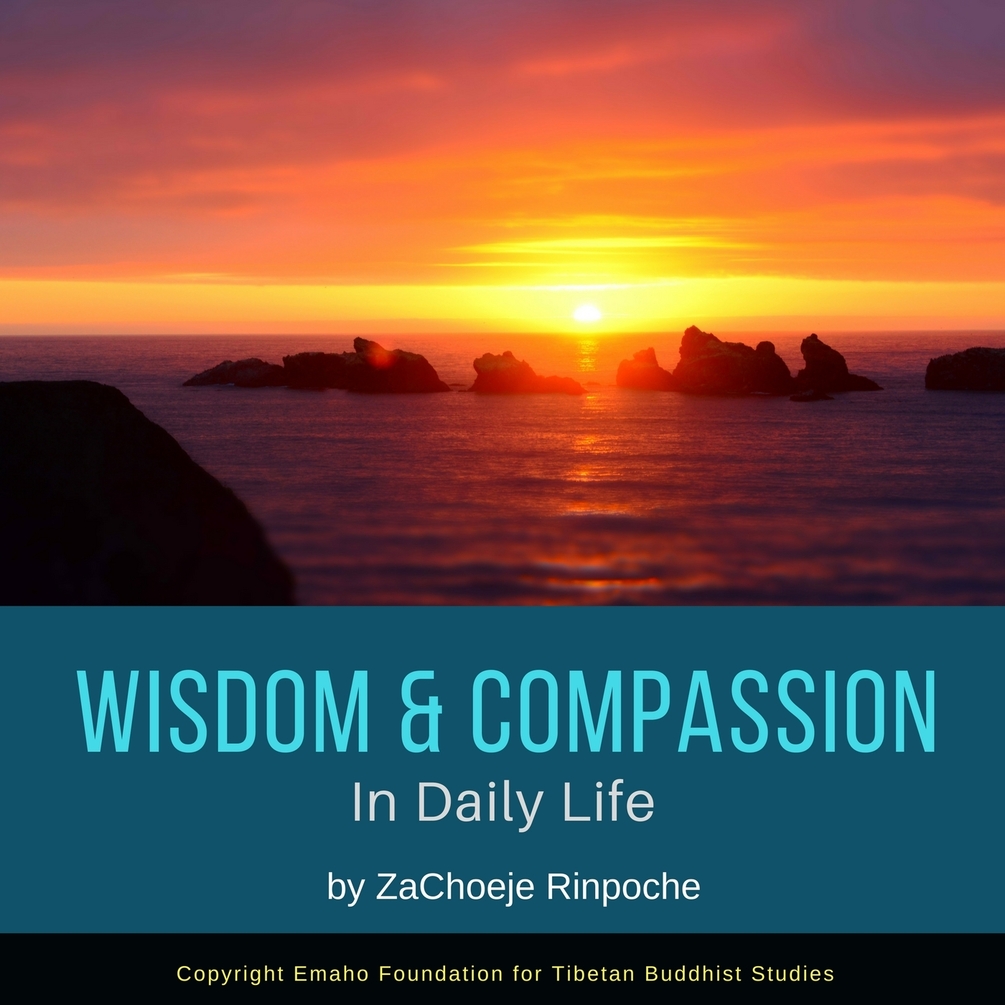 Wisdom and Compassion in Daily Life