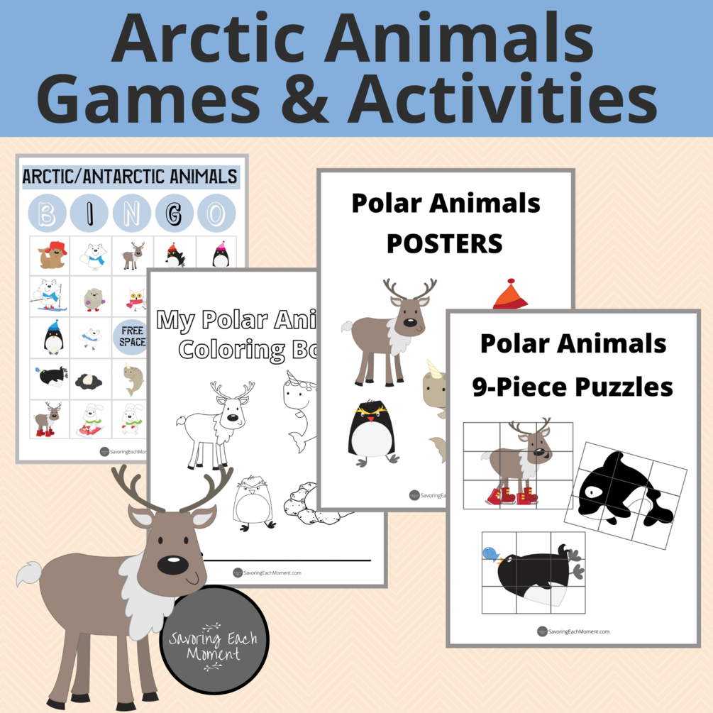 Polar Artic Animals Activities