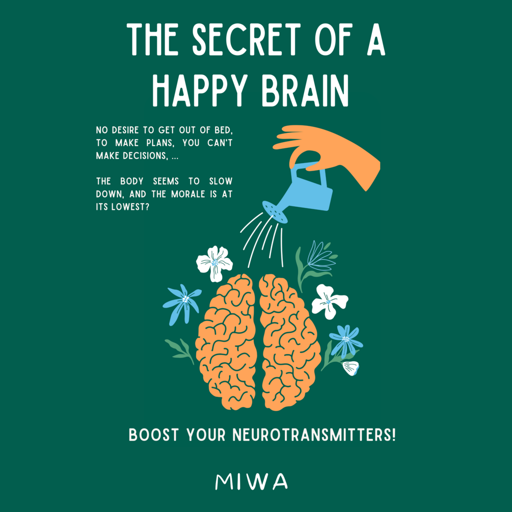 The Secret of a Happy Brain