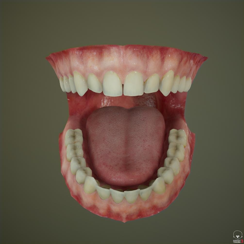 Real time mouth interior