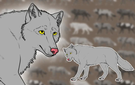 Customizable wolf base (Photoshop)